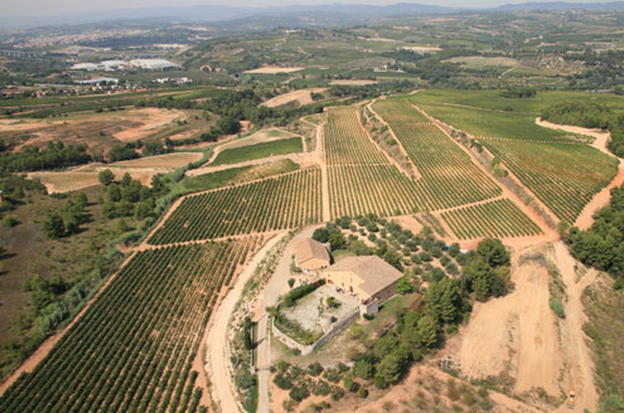 Torelló | Guía Repsol