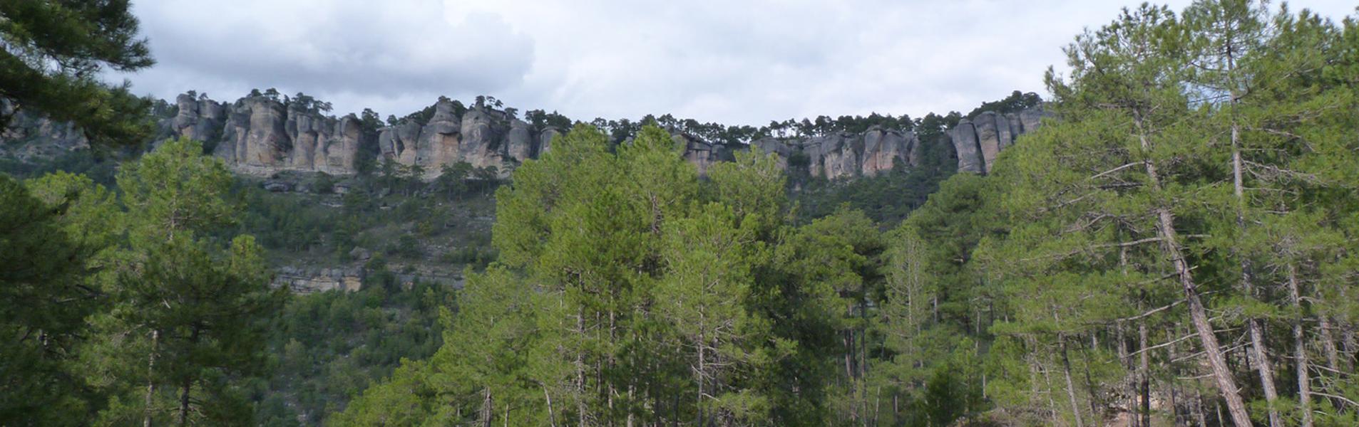 Zafrilla | Guía Repsol