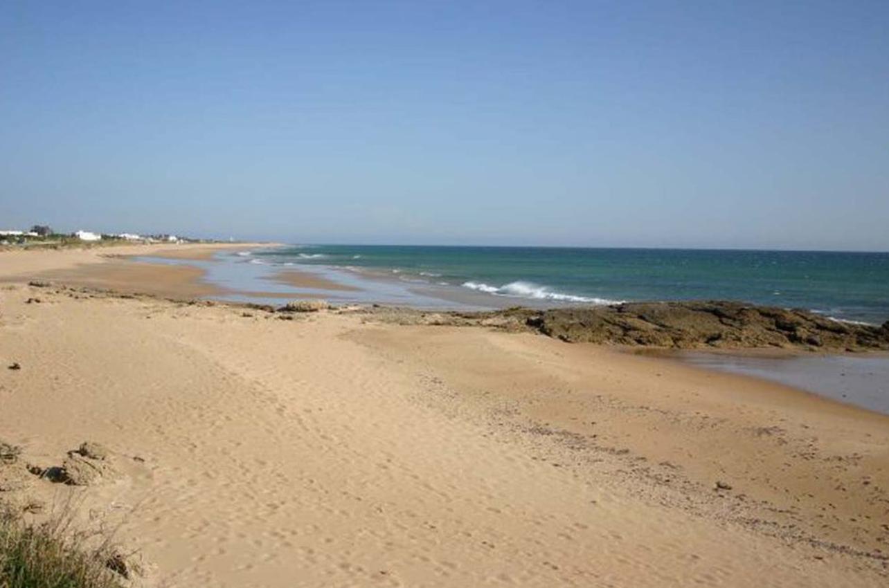 El Palmar | Guía Repsol