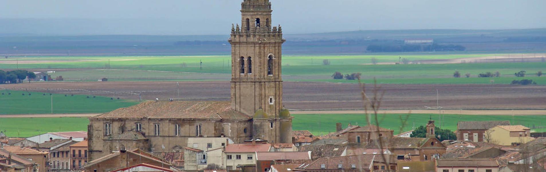 Nava del Rey | Guía Repsol