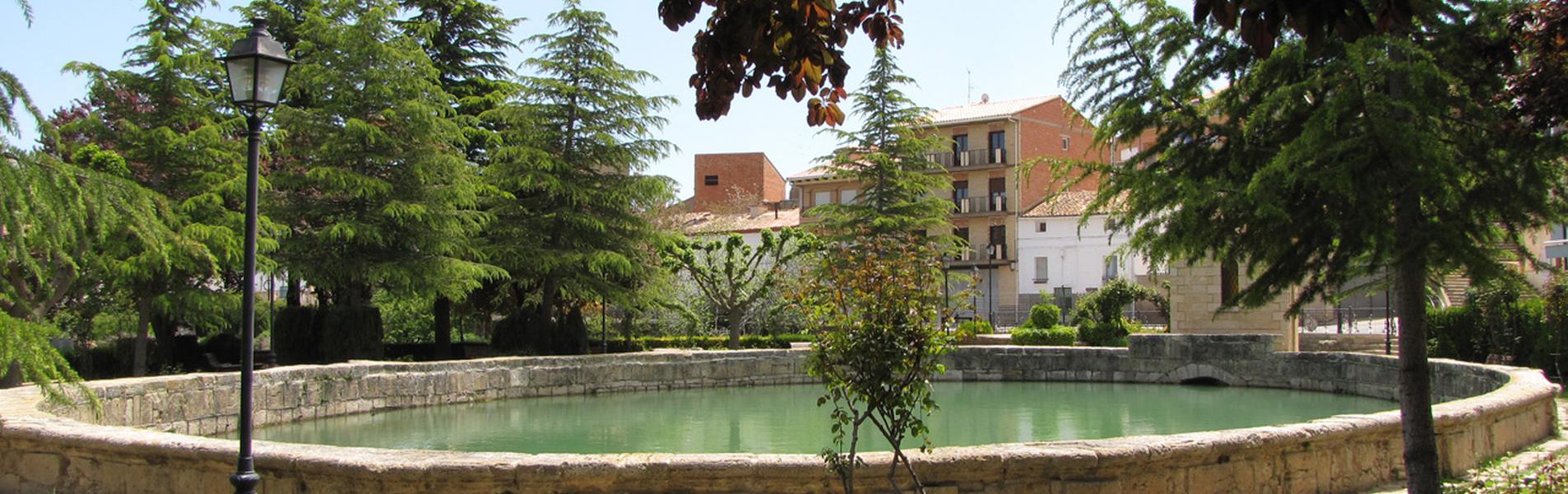 Cella | Guía Repsol