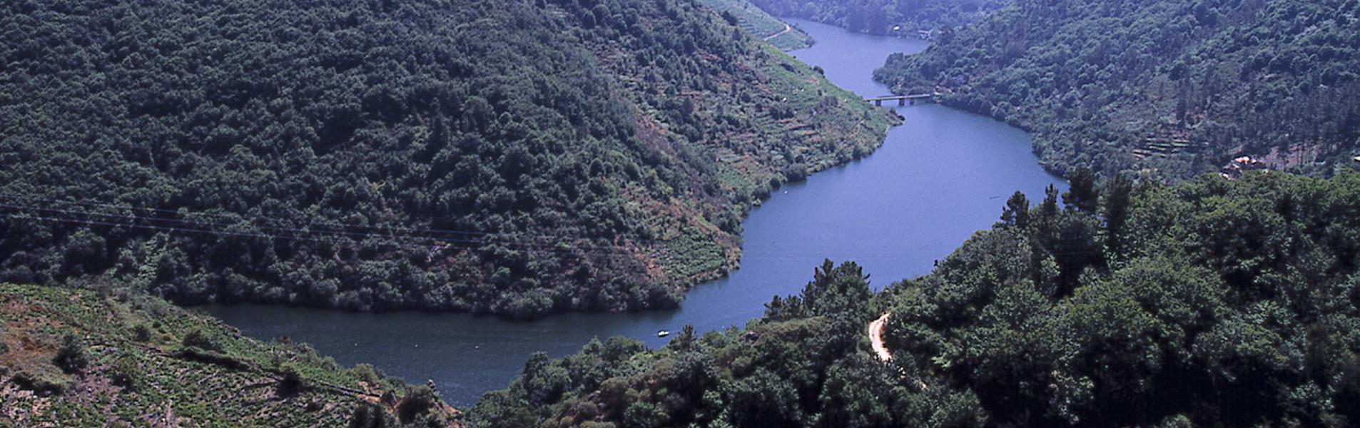 Chantada | Guía Repsol