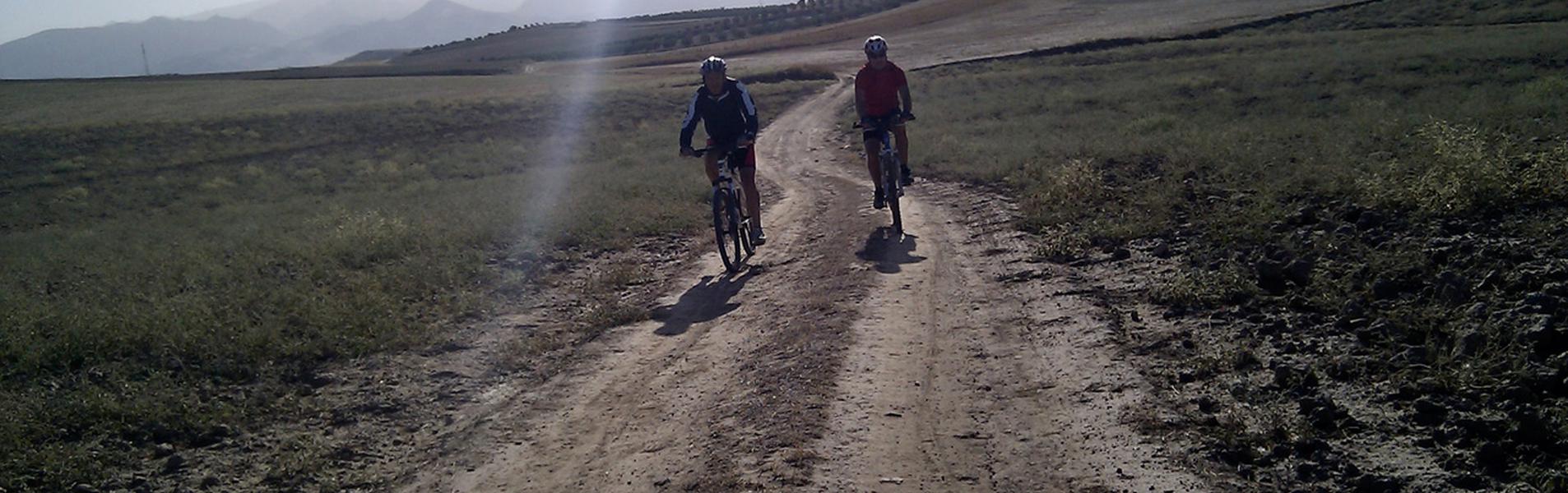 Alhendín | Guía Repsol