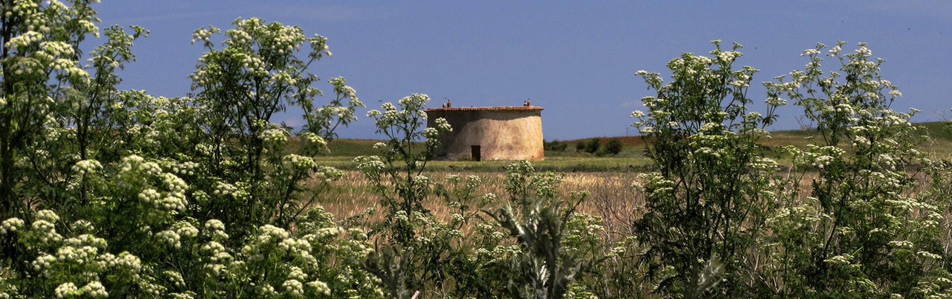 Vega de Villalobos | Guía Repsol