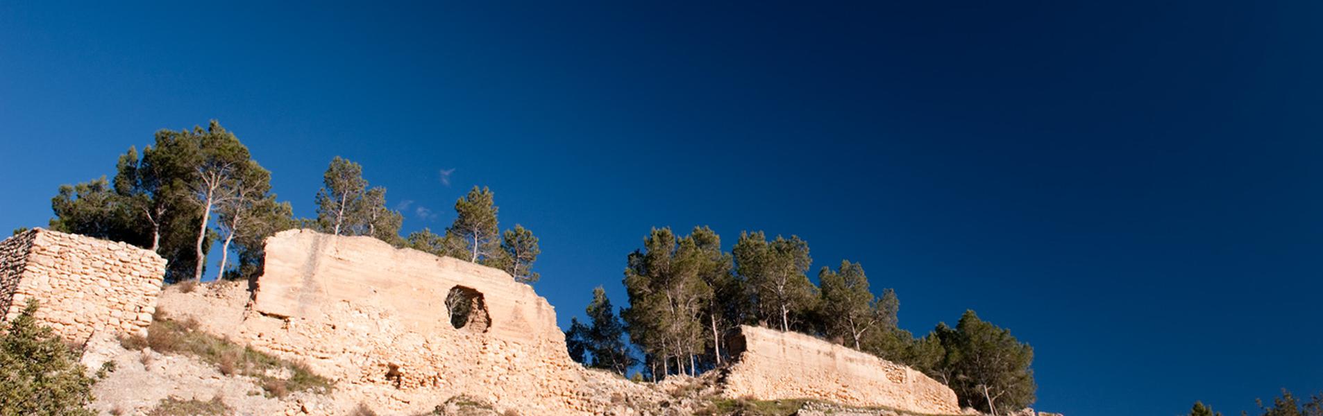 Chiva | Guía Repsol