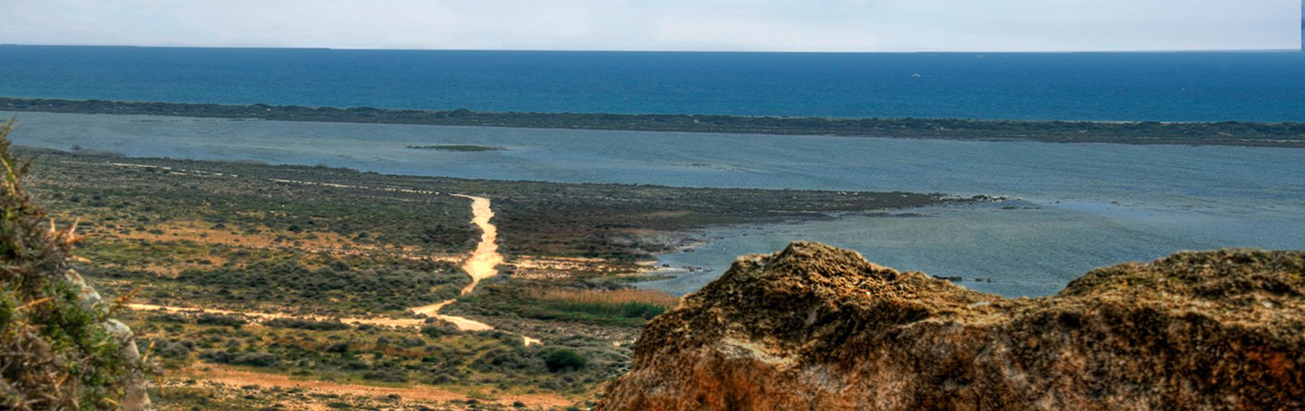 Paraje Natural Punta Entinas-Sabinar | Guía Repsol